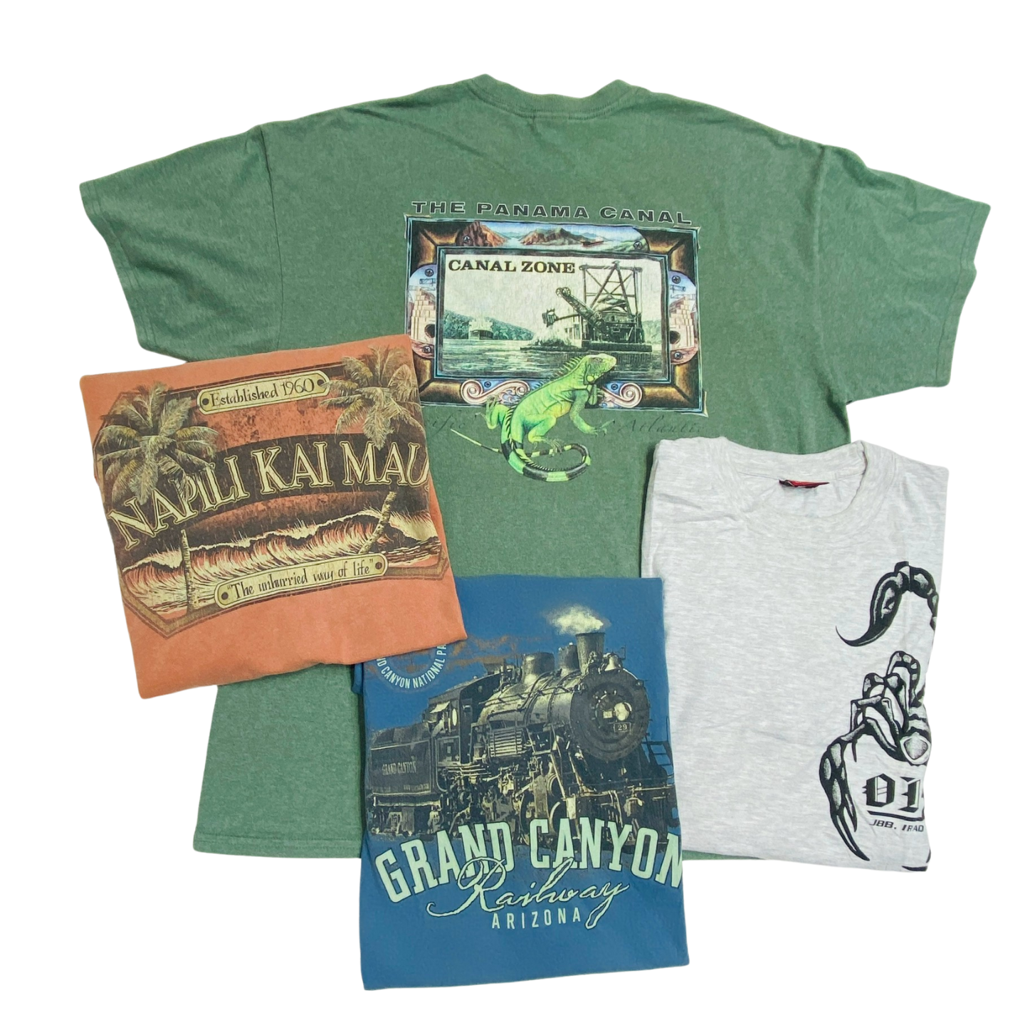 Destination Tees ~56 to 60 pcs | Raghouse